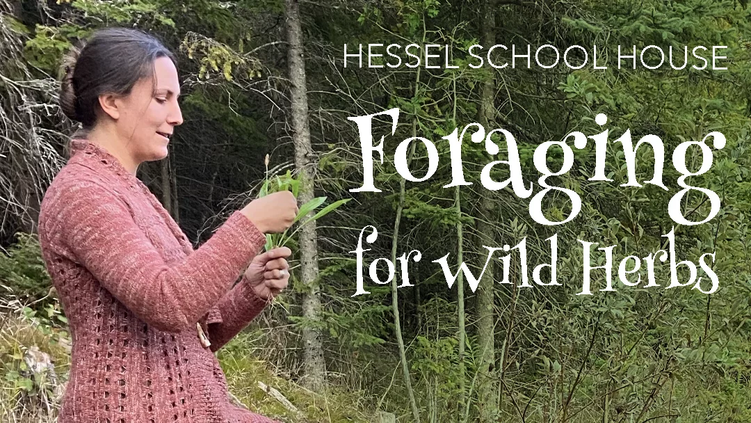 Foraging for Wild Herbs - Hessel School House