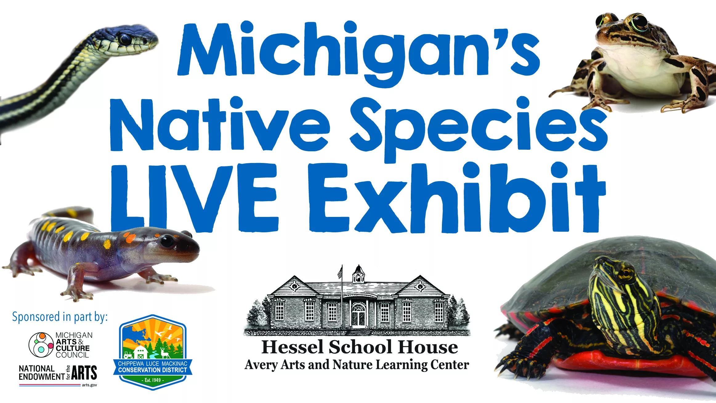 Michigan's Native Species LIVE Exhibit - Hessel School House